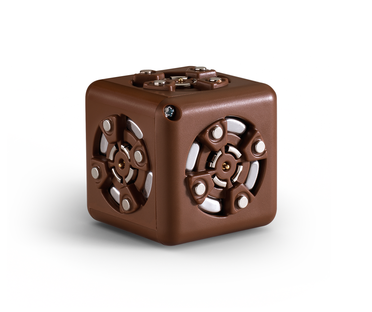 Maximum Cubelet — Robotix Education Inc.