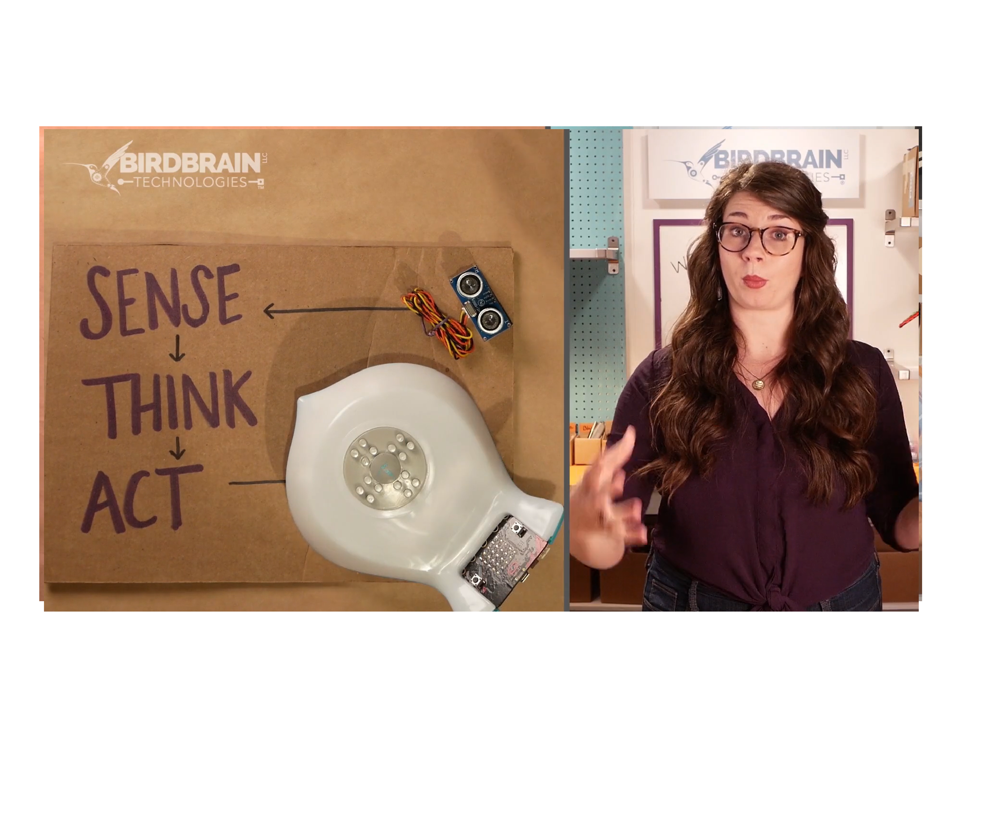 BirdBrain Technologies — Robotix Education Inc.